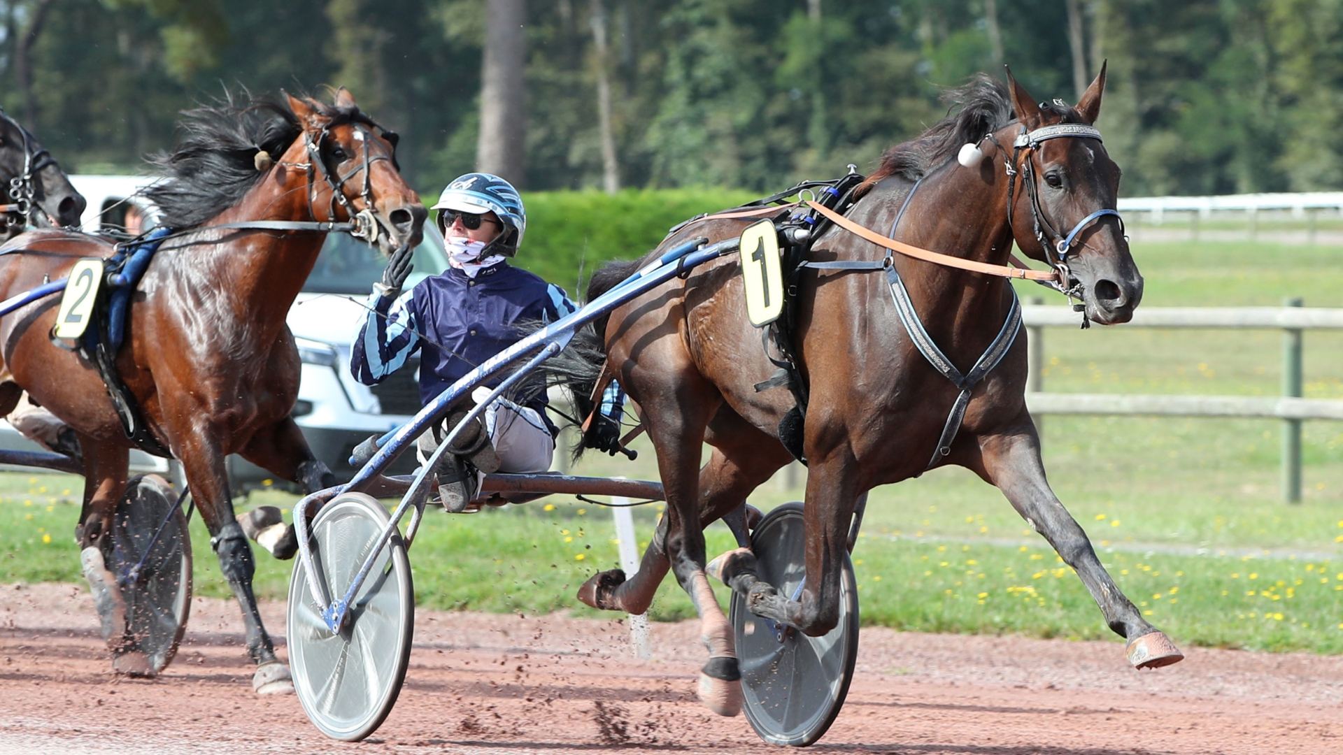 Turf Grand Prix Angers Loire Metropole Un Plateau De Qualité